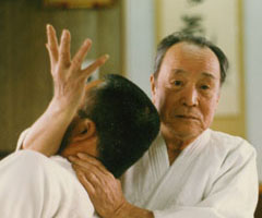 VWA Aikido